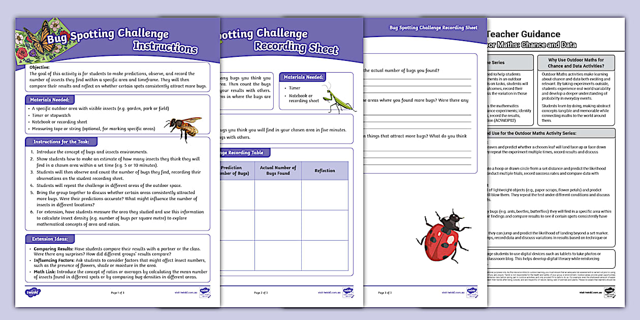 Outdoor Maths: Bug Spotting Challenge - Twinkl