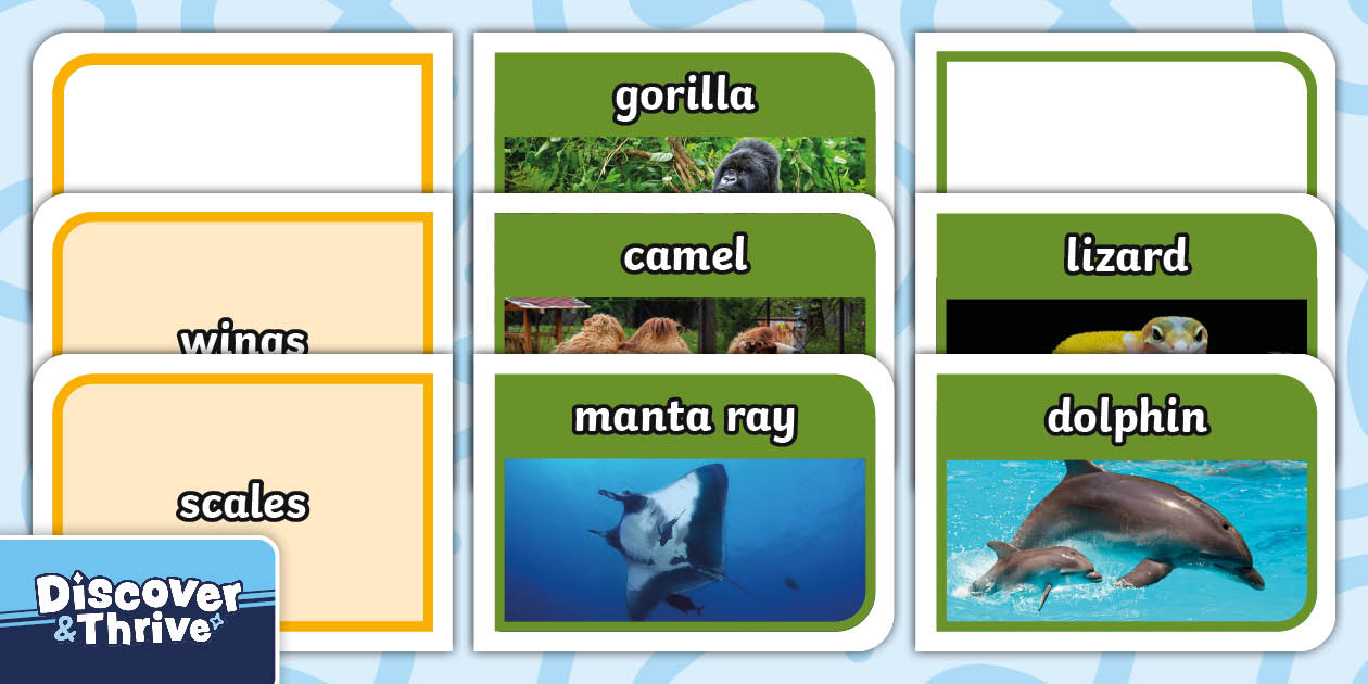 STEM (Living Things) Zoo Animal Characteristics Matching Game (Senior ...