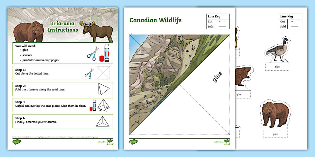 Canadian Wildlife Triarama Craft (teacher made) - Twinkl