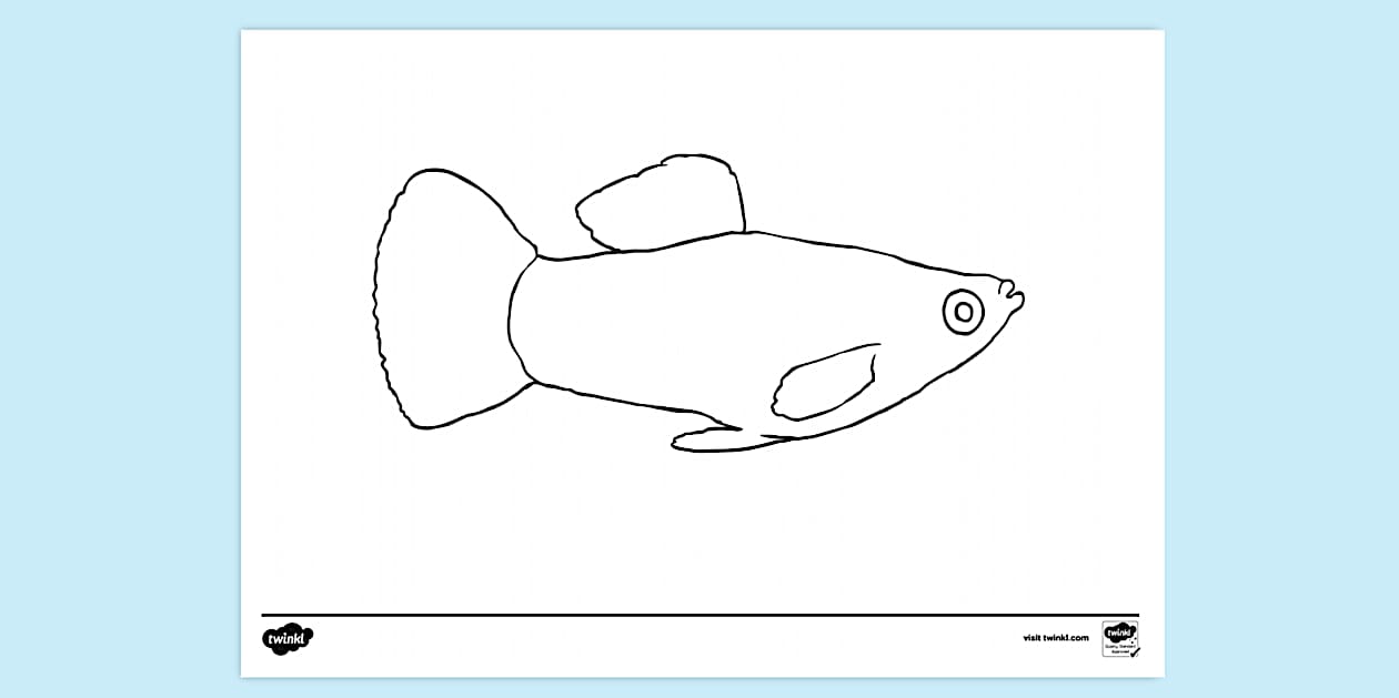 Simple Fish Colouring Page | Colouring Sheets - Twinkl