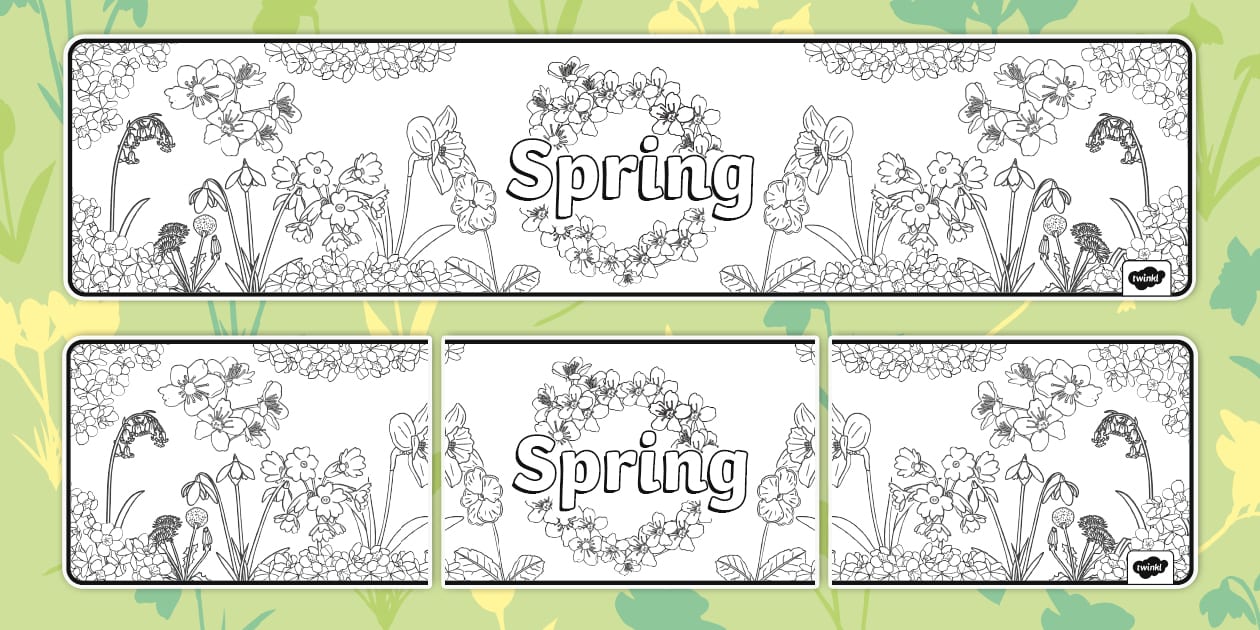 Spring Flowers Colouring Display Banner (teacher made)
