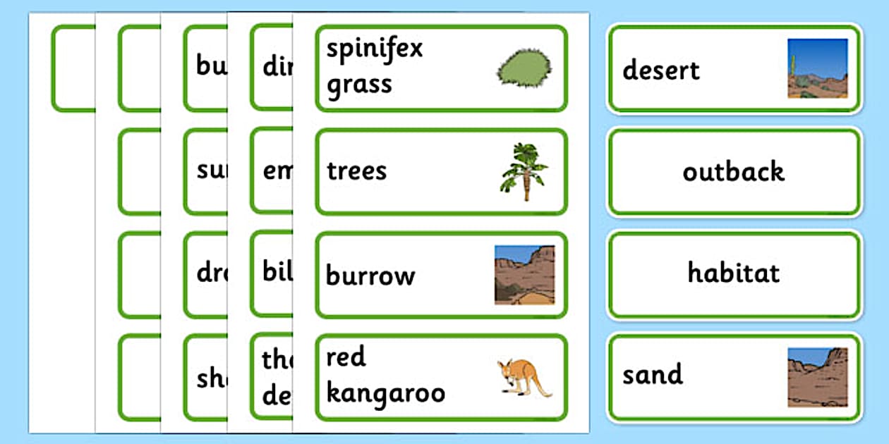 Australian Desert Habitat Word Cards (teacher made) - Twinkl