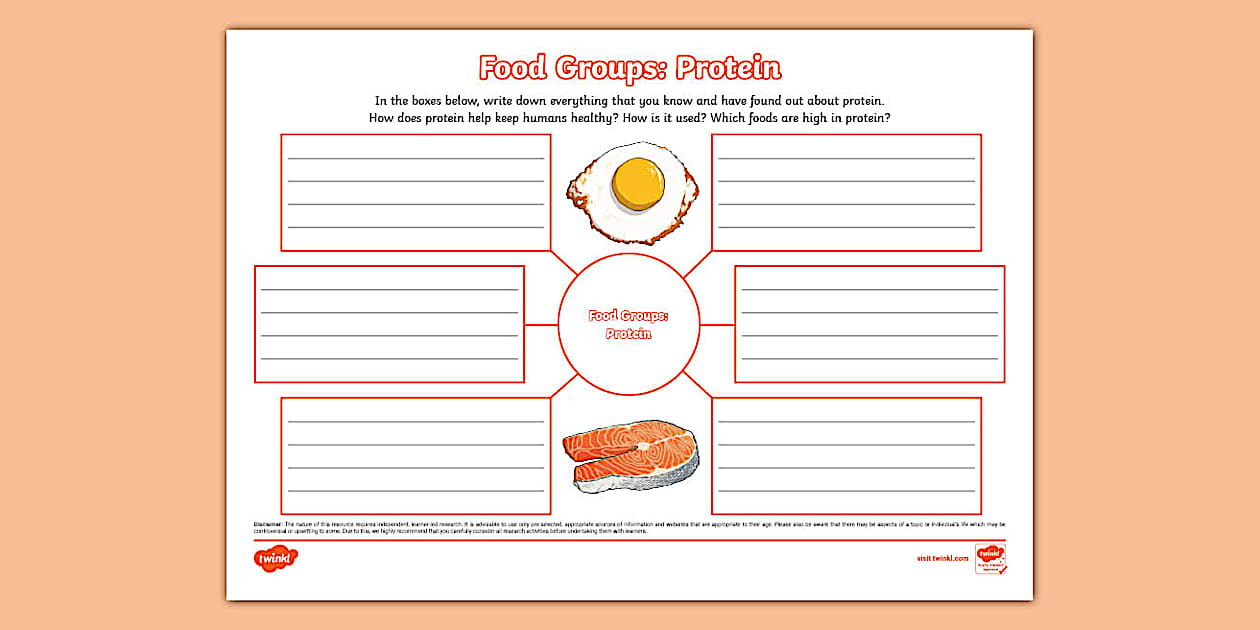 Food Groups: Protein Mind Map (teacher made) - Twinkl