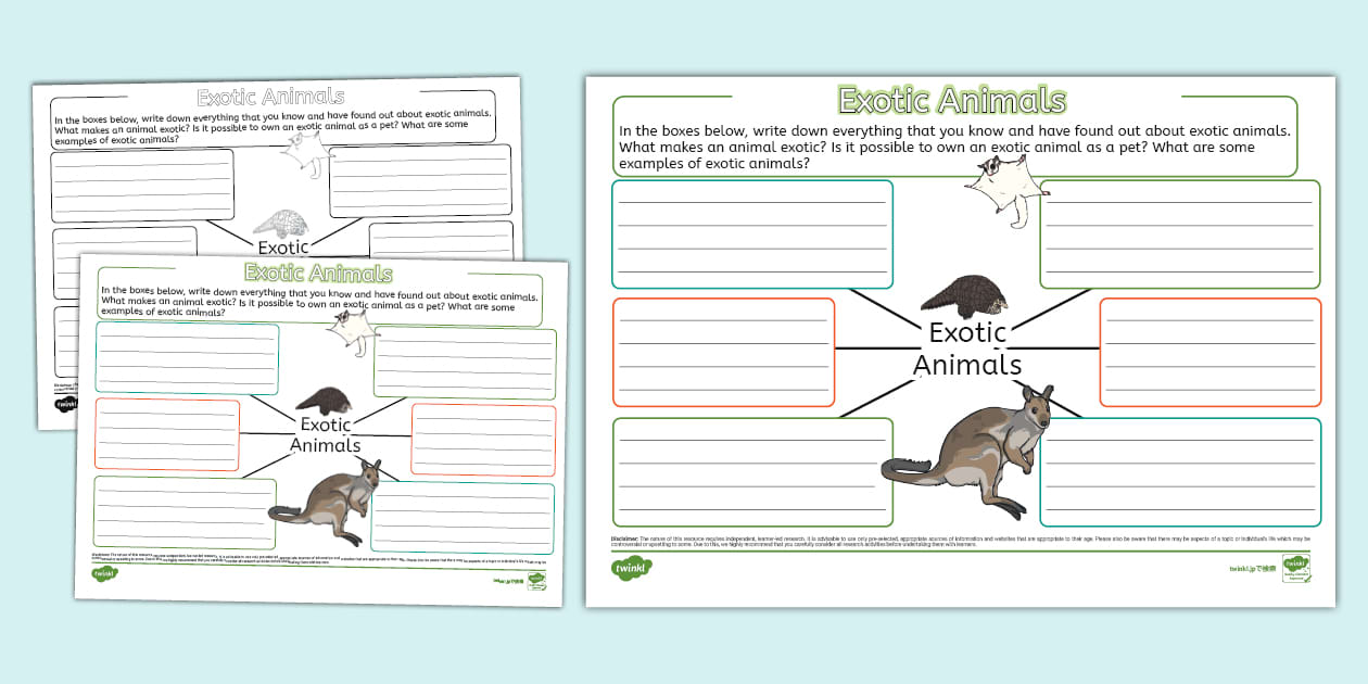 Exotic Animals Mind Map (teacher made) - Twinkl