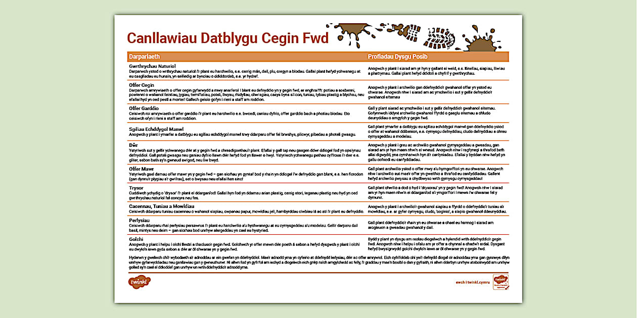 Canllawiau Datblygu Cegin Fwd (teacher made) - Twinkl