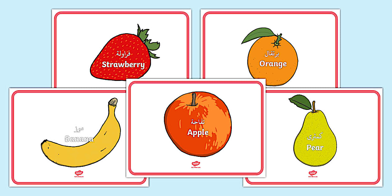 Fruit Words on Fruit Display Posters (professor feito)