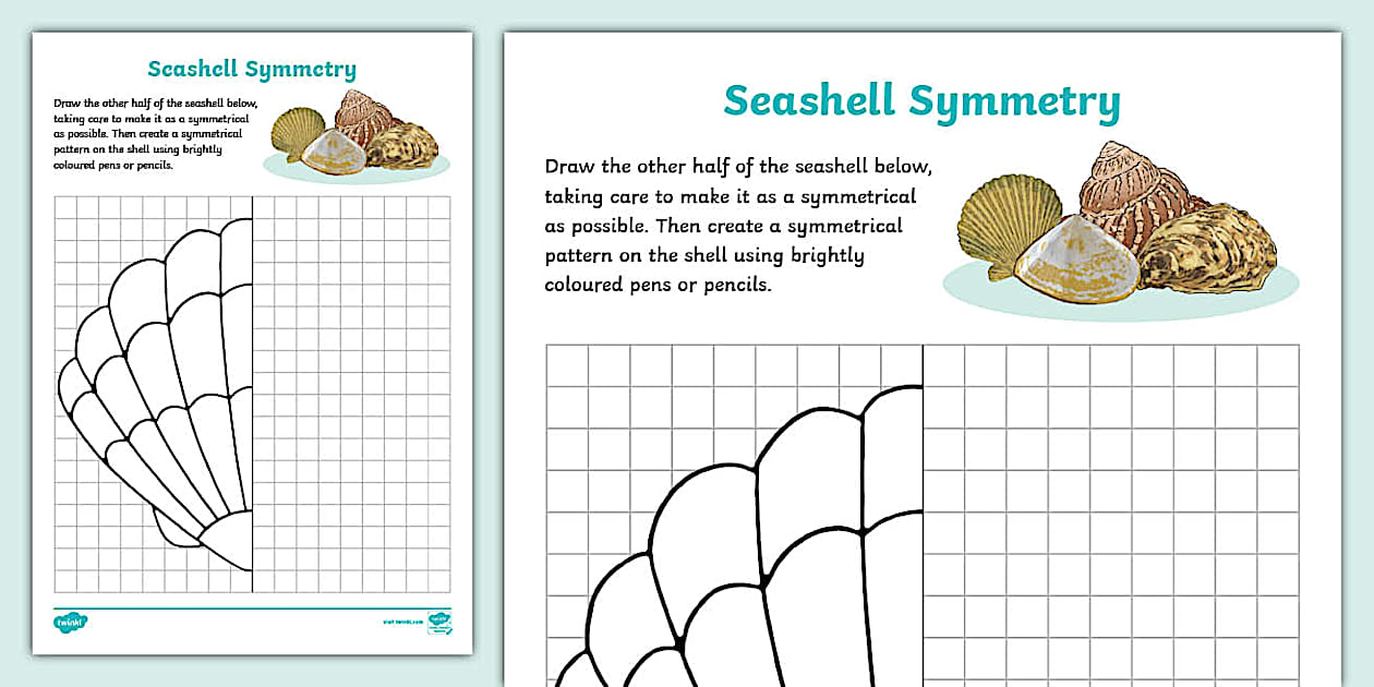 Seashell Symmetry (Teacher-Made) - Twinkl