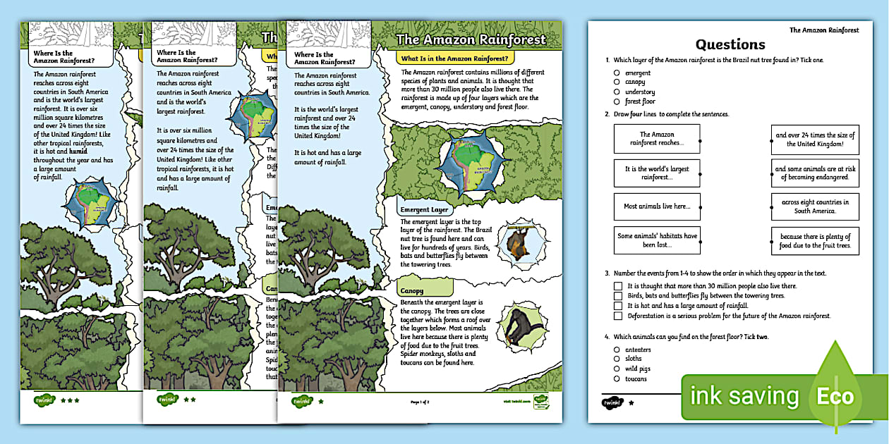 LKS2 The Amazon Rainforest Differentiated Comprehension