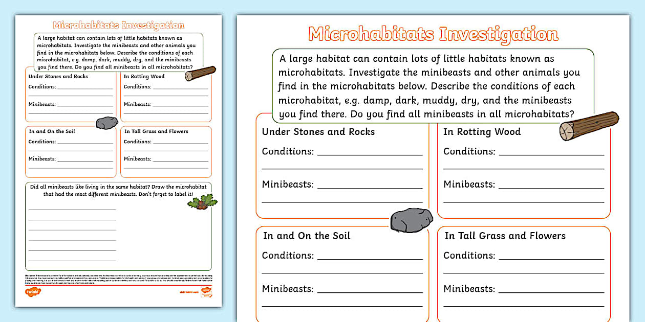 Microhabitats Investigation Worksheet (teacher made)