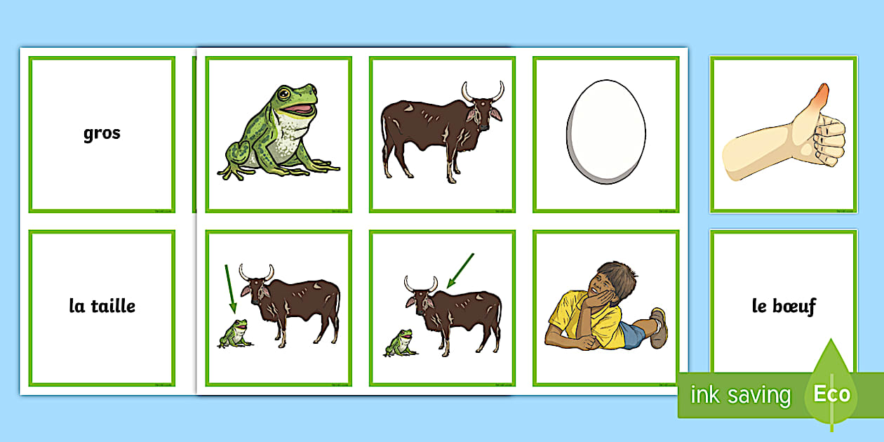 The Frog and the Ox Matching Cards French (teacher made)