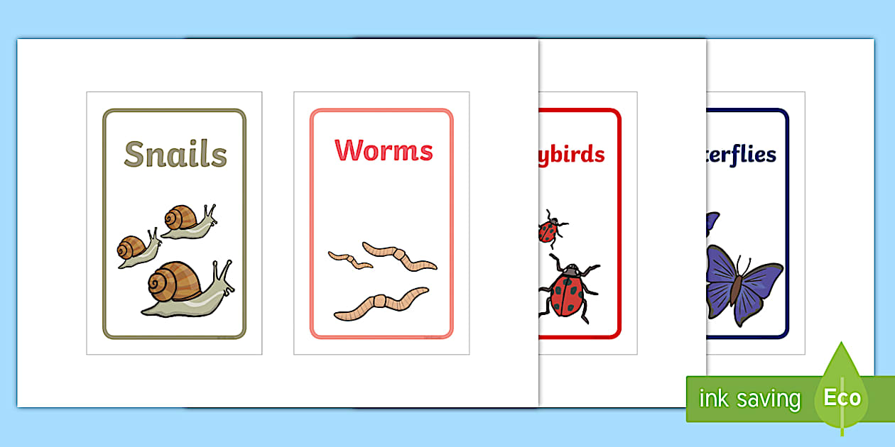 Editable Minibeast Group Signs Ikea Tolsby/Fiestad Frame