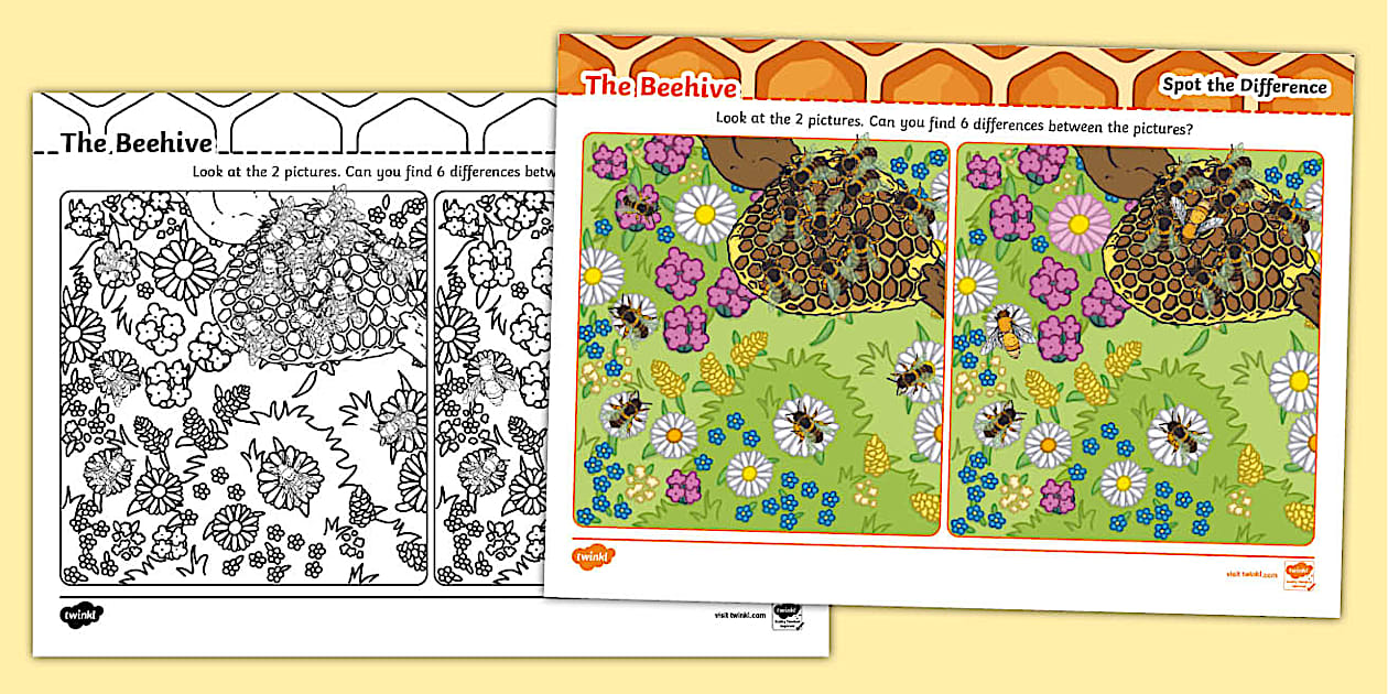 Bee Spot the Difference Worksheet (teacher made) - Twinkl