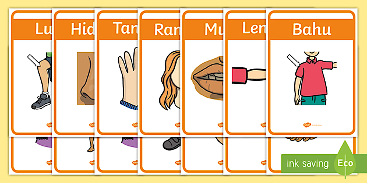 My Body Display Posters (teacher made) - Twinkl