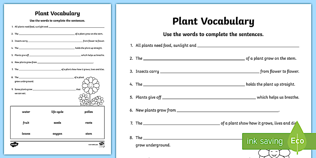 Editable Plant Vocabulary Worksheet (teacher made) - Twinkl