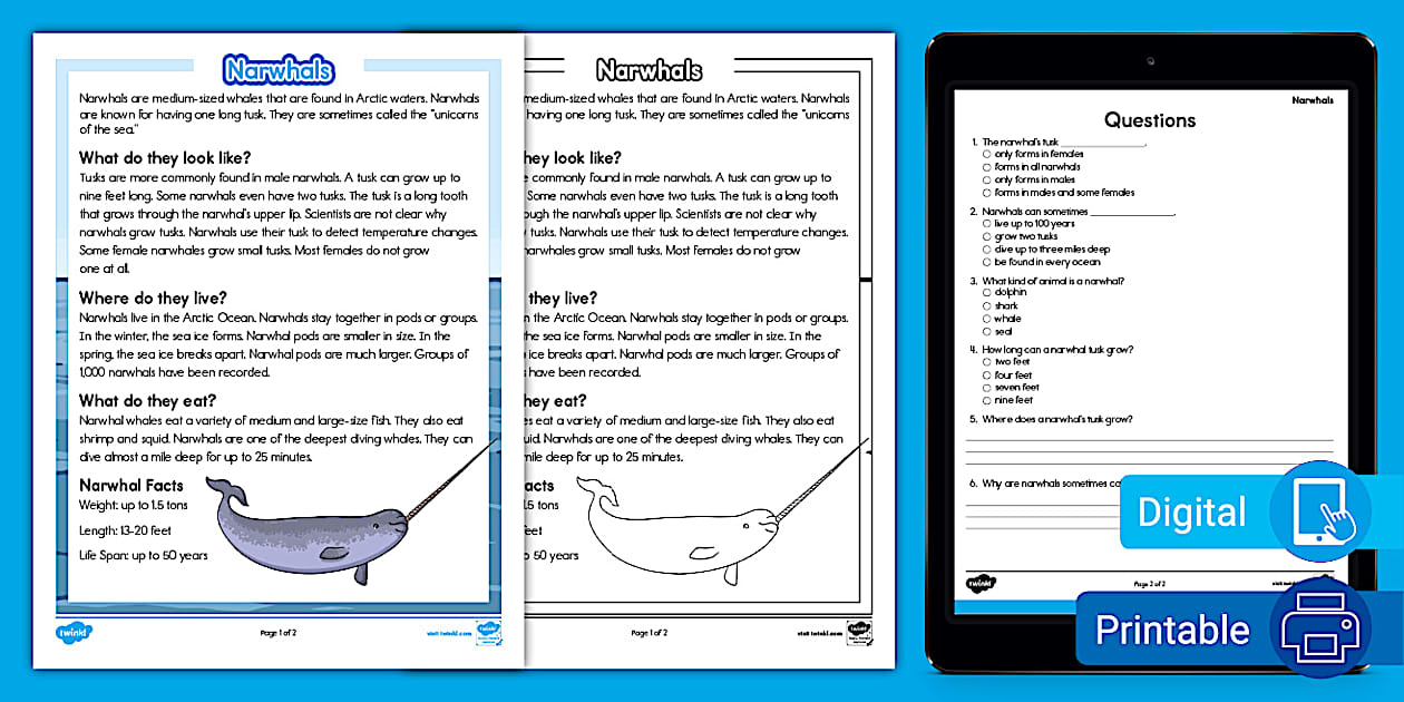 Narwhal Interesting Facts Reading Activity | Twinkl USA