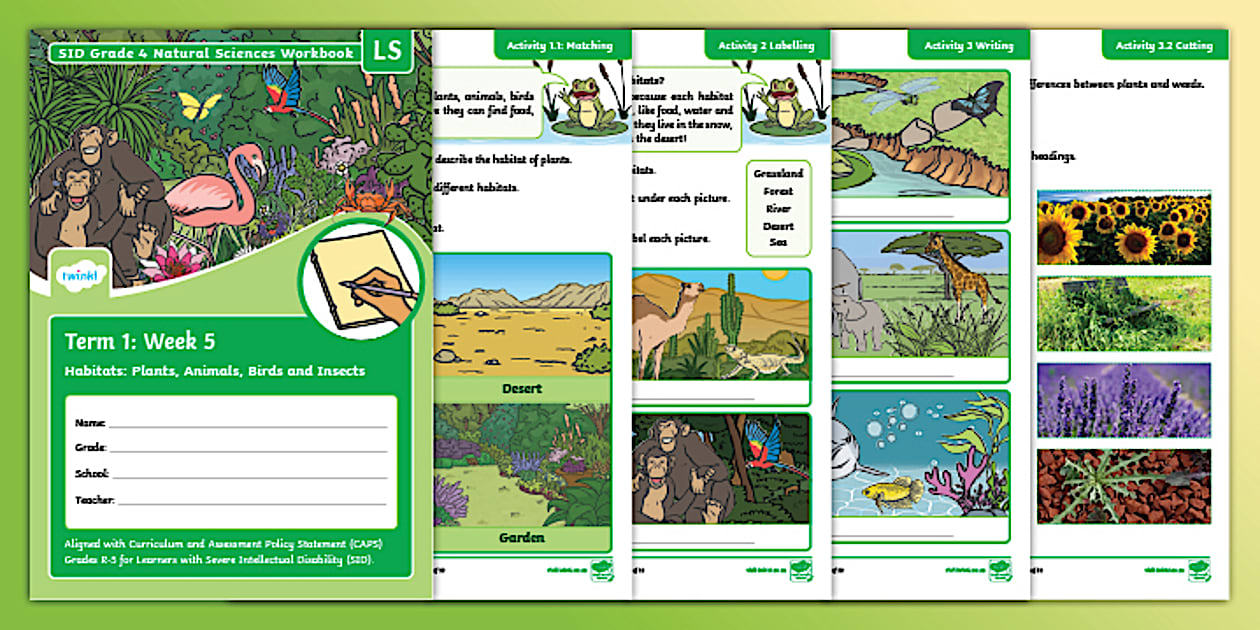 SID: Grade 4 Natural Sciences Booklet Term 1 Week 5 LS