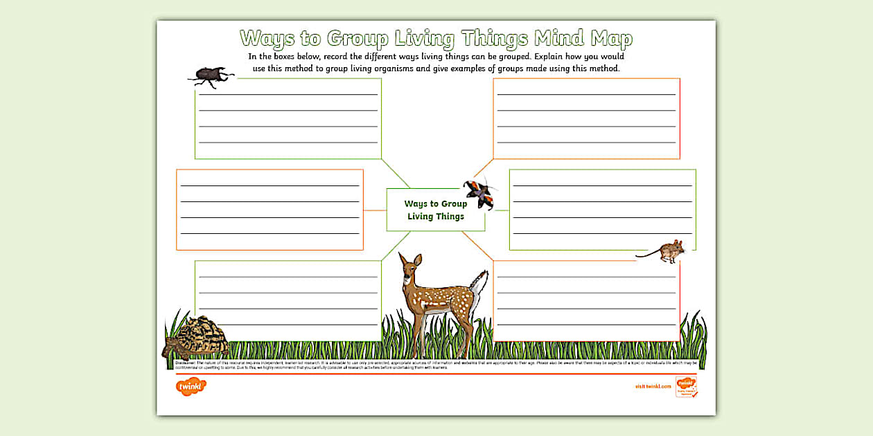 Ways to Group Living Things Mind Map (Teacher-Made) - Twinkl