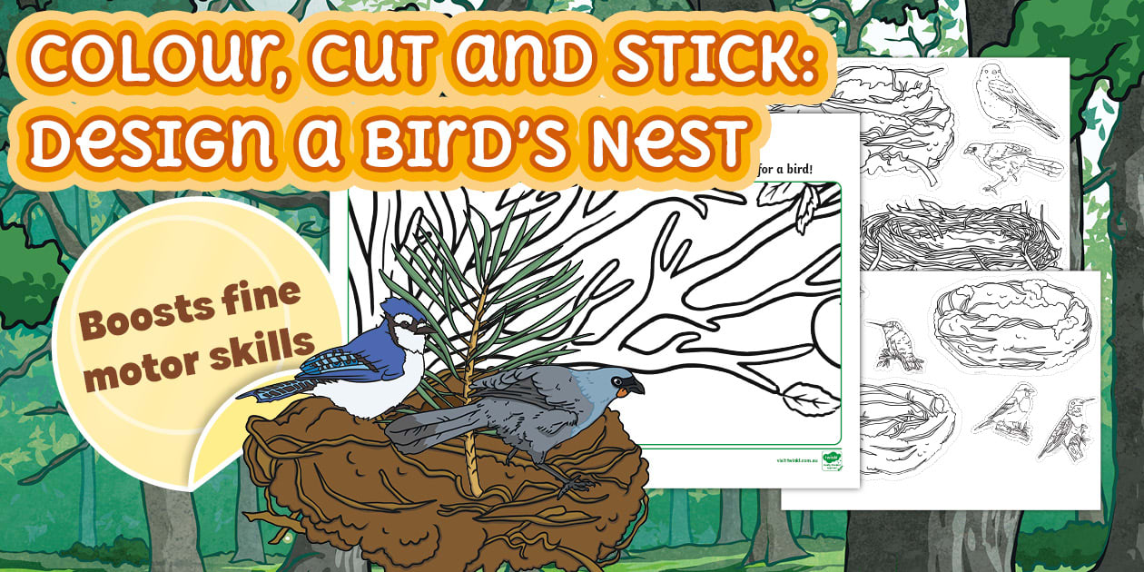 Colour, Cut and Stick: Design a Bird's Nest