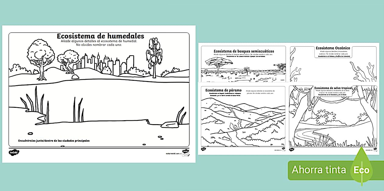 Pack: Dibujo de ecosistema terrestre y marino para colorear