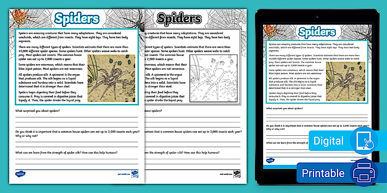 Third Grade Spiders Reading Response Worksheet - Twinkl