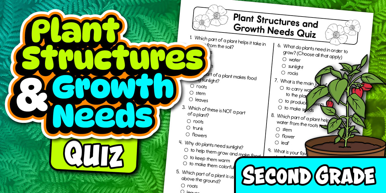 Second Grade Plant Structures and Growth Needs Quiz - Twinkl