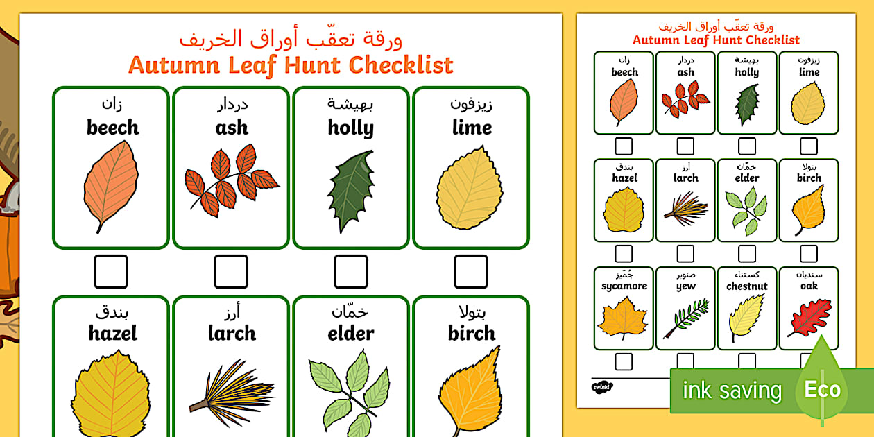 Autumn Leaf Hunt Checklist Arabic/English (teacher made)
