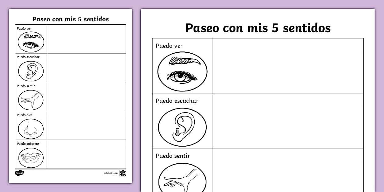 Ficha de actividad: Los 5 sentidos mientras doy un paseo