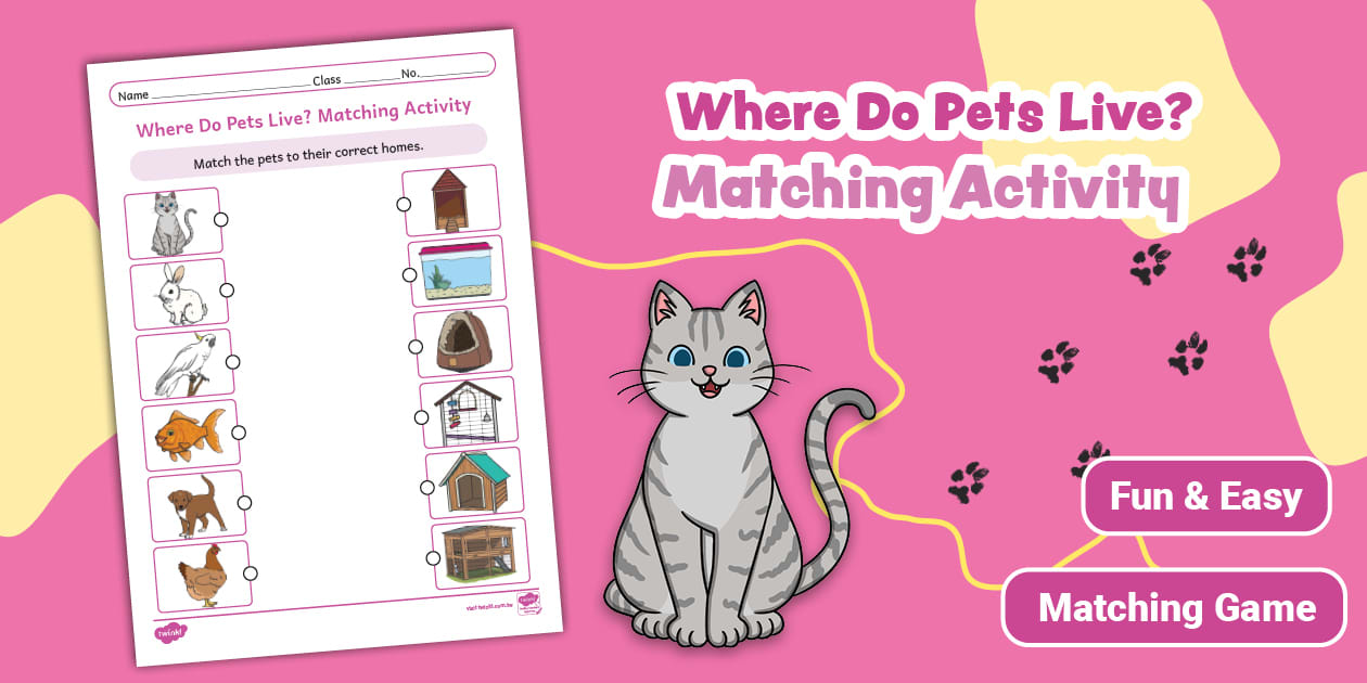 牠們住在哪？配對學習單｜Where Do Pets Live? Matching Activity