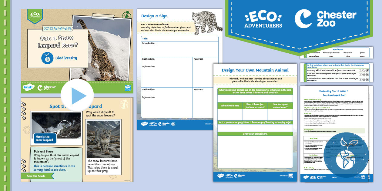 FREE! - Year 2 Biodiversity: Lesson 4 - Can a Snow Leopard Roar?