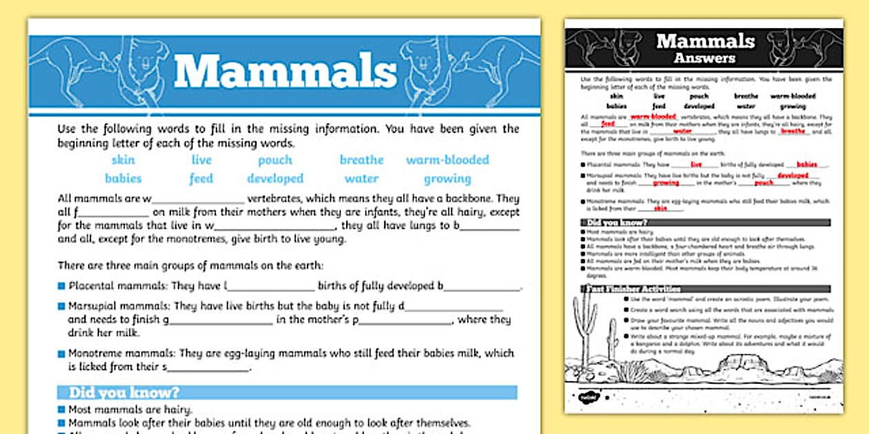 Lower Ability Australian Animals Years 3-6 Mammals Differentiated Cloze