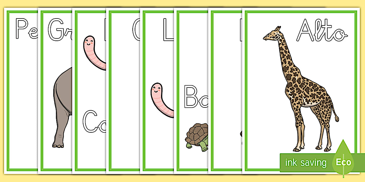 Pósters DIN A4: Vocabulario - Tamaño (teacher made)