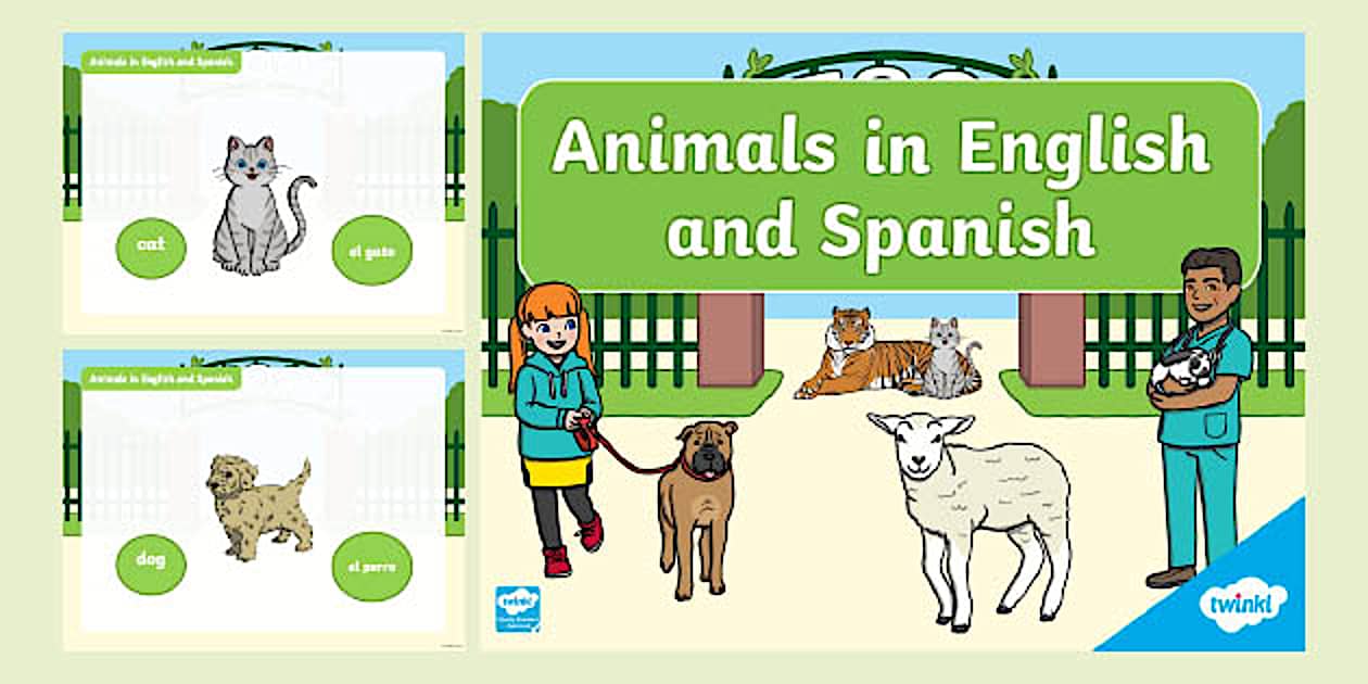 Animals in English/Spanish Quiz and Vocabulary PowerPoint