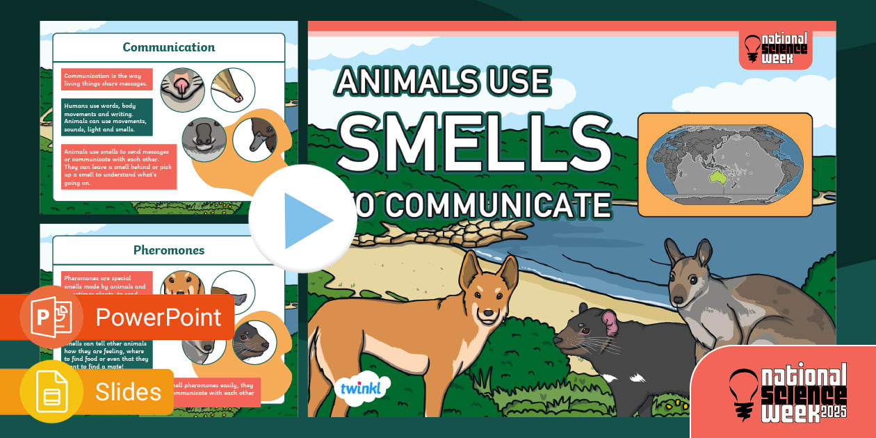 Smells and Communication in Nature PowerPoint (teacher made)