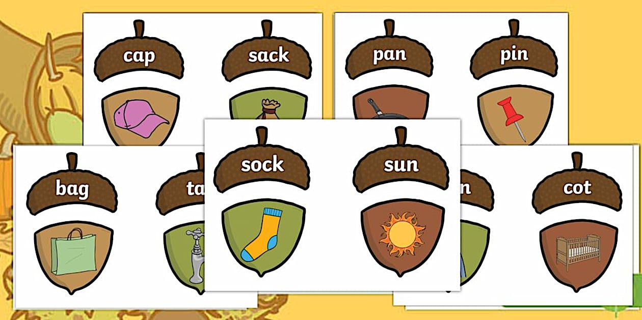 Acorn Phonics CVC Words (teacher made) - Twinkl