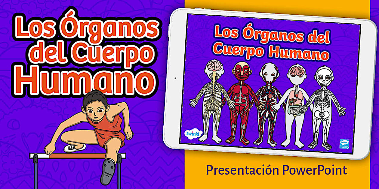 PowerPoint | Cuestionario | Cuerpo Humano | Órganos