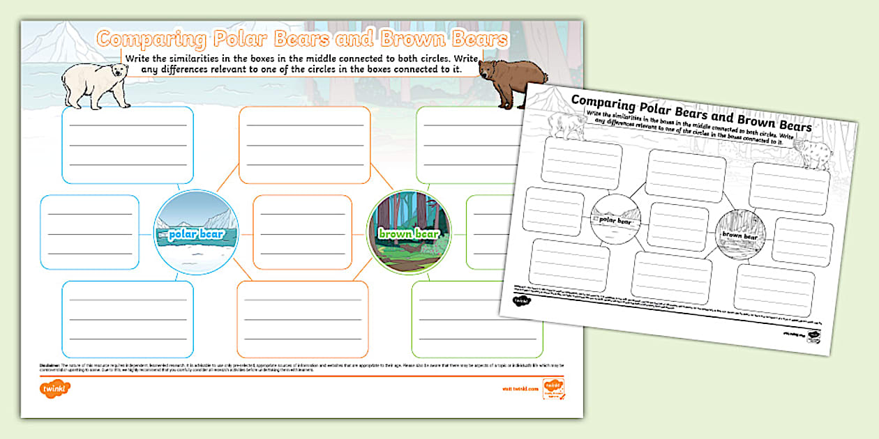 Polar Bear and Brown Bear Comparison Mind Map