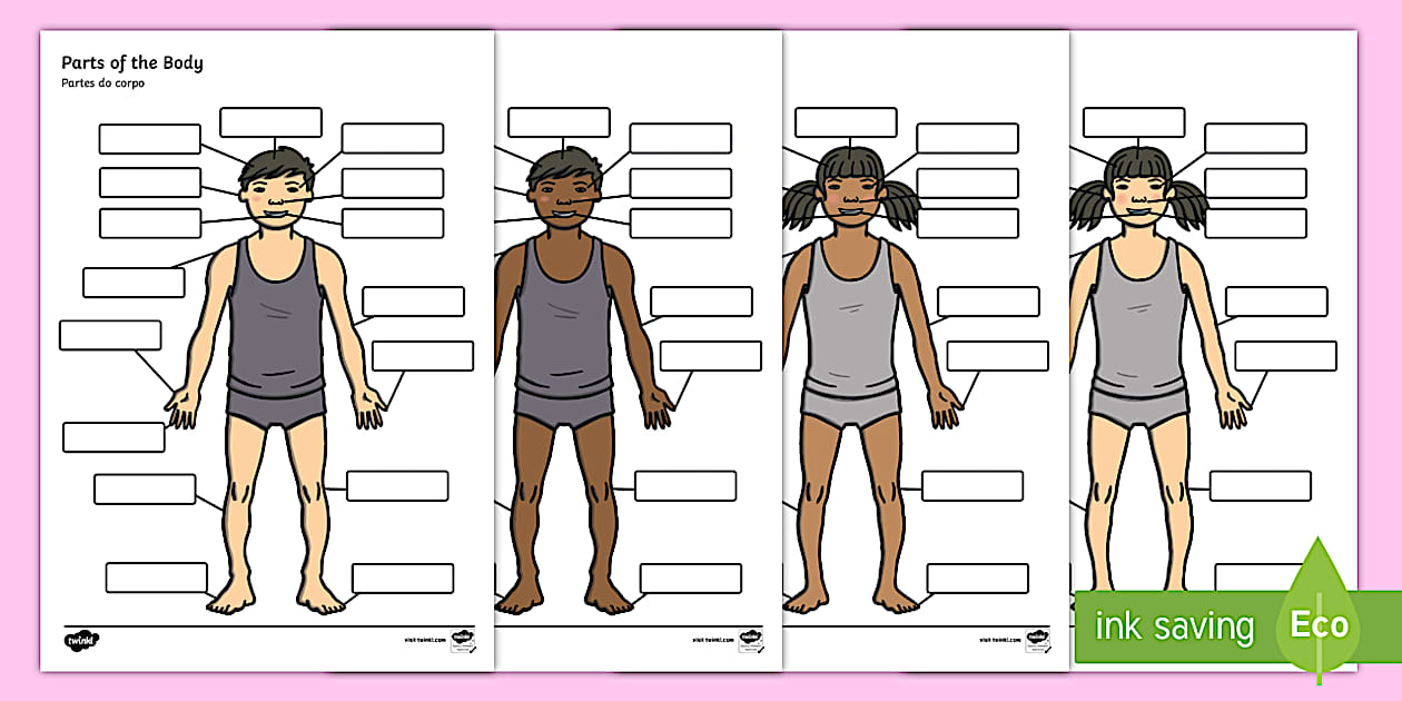 Body Parts Labelling Activity English/Portuguese - Body Parts Labelling