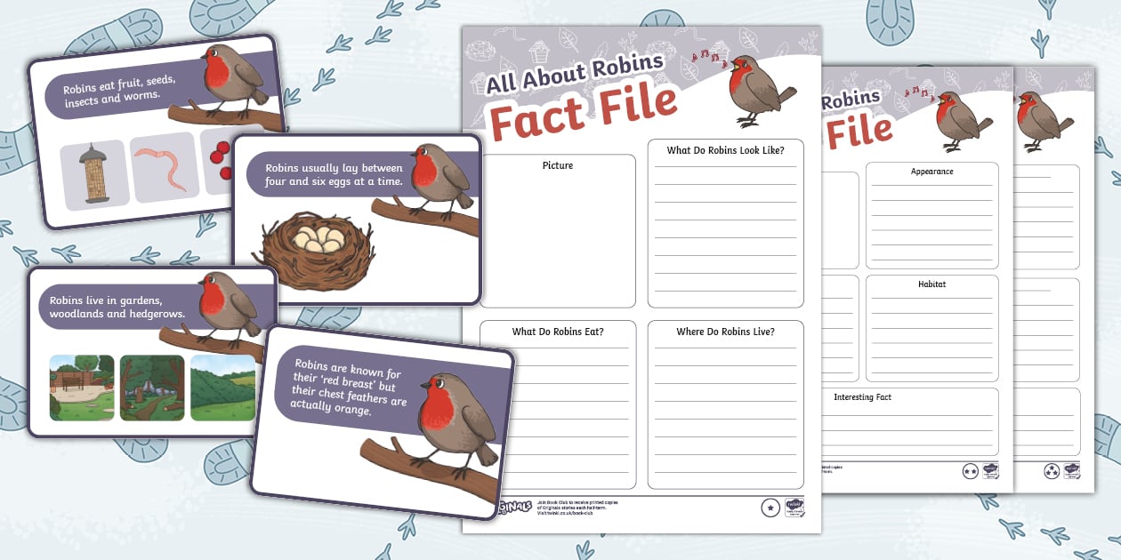 All About Robins Fact File Writing Frames (teacher made)