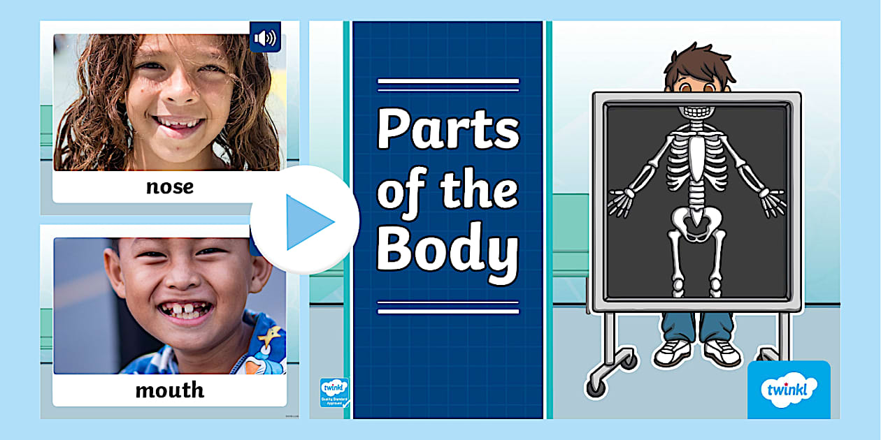 Body Parts PowerPoint | Twinkl Primary Resources - Twinkl