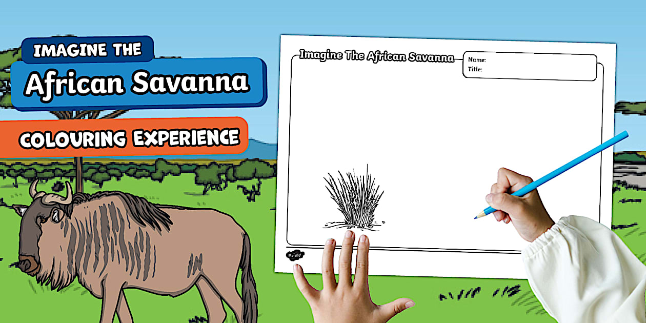 Imagine The African Savanna - Colouring Experience