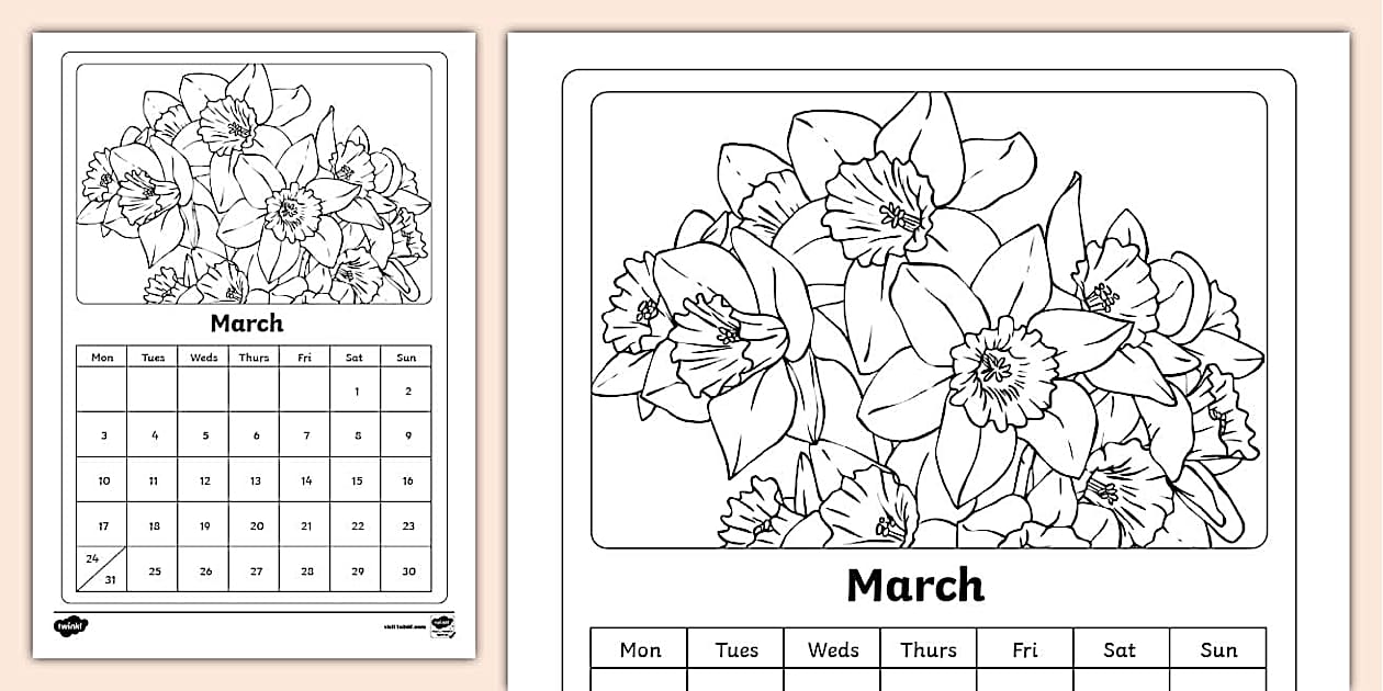 Calendar March Colouring Sheet | Colouring Sheets - Twinkl