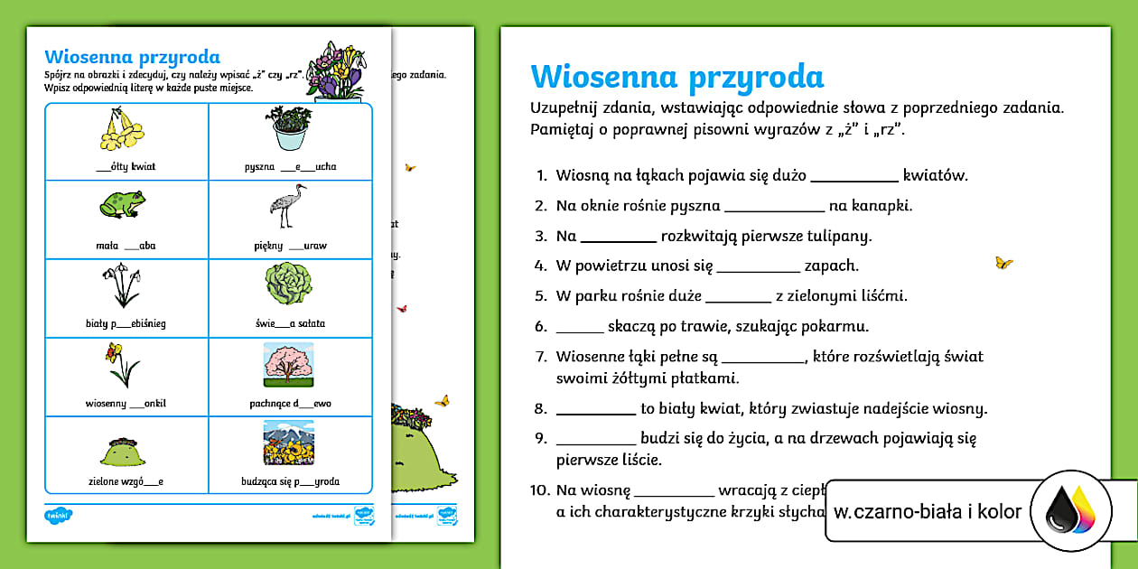 Wiosenna przyroda | Ćwiczenia ortograficzne (teacher made)