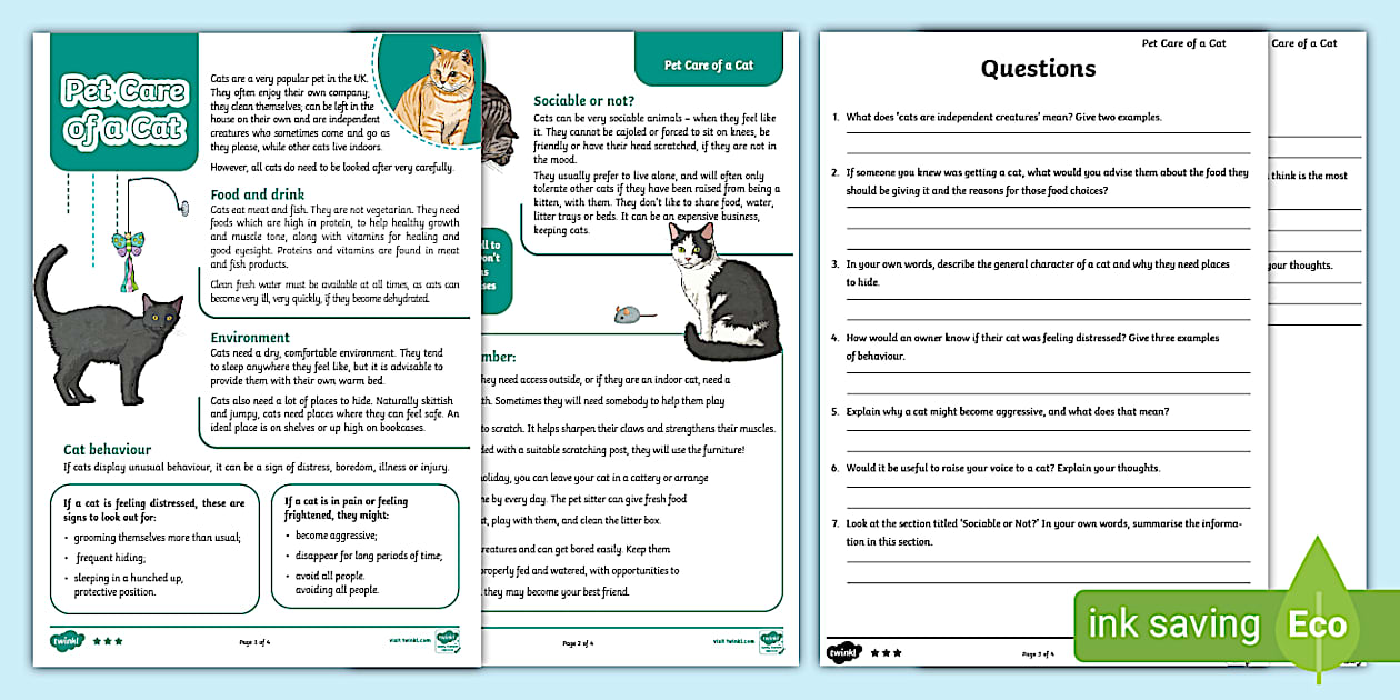 Black and White KS2 Pet Care of a Cat Differentiated Reading Comprehension