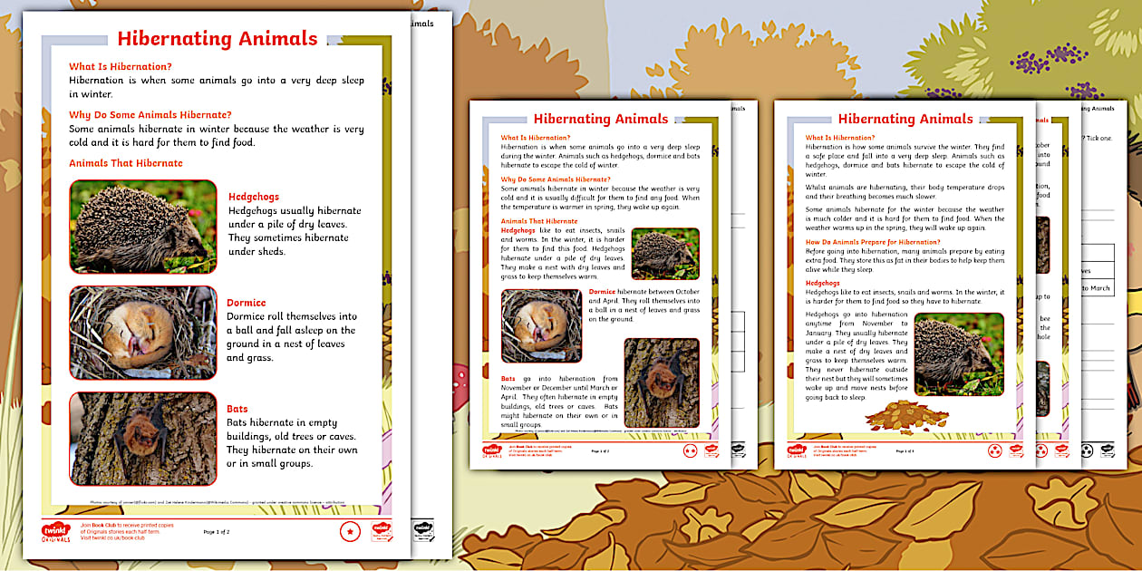 Hibernating Animals Non-Fiction Reading Comprehension Activity
