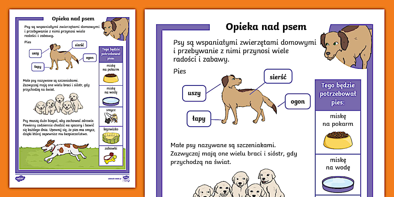 Opieka nad psem | Czytanie ze zrozumieniem - Twinkl