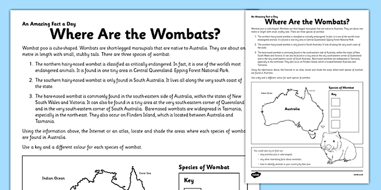 Where Are the Wombats? Worksheet / Worksheet - Twinkl