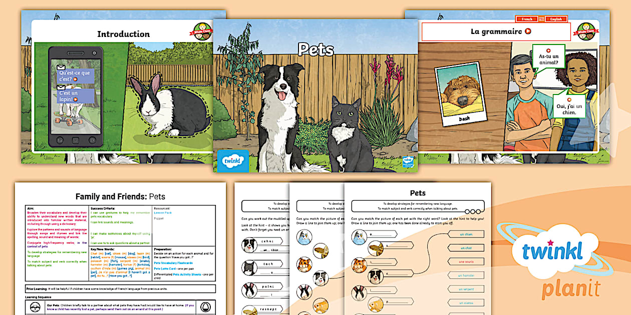 Animals in French - Family and Friends: Pets Lesson Pack 2