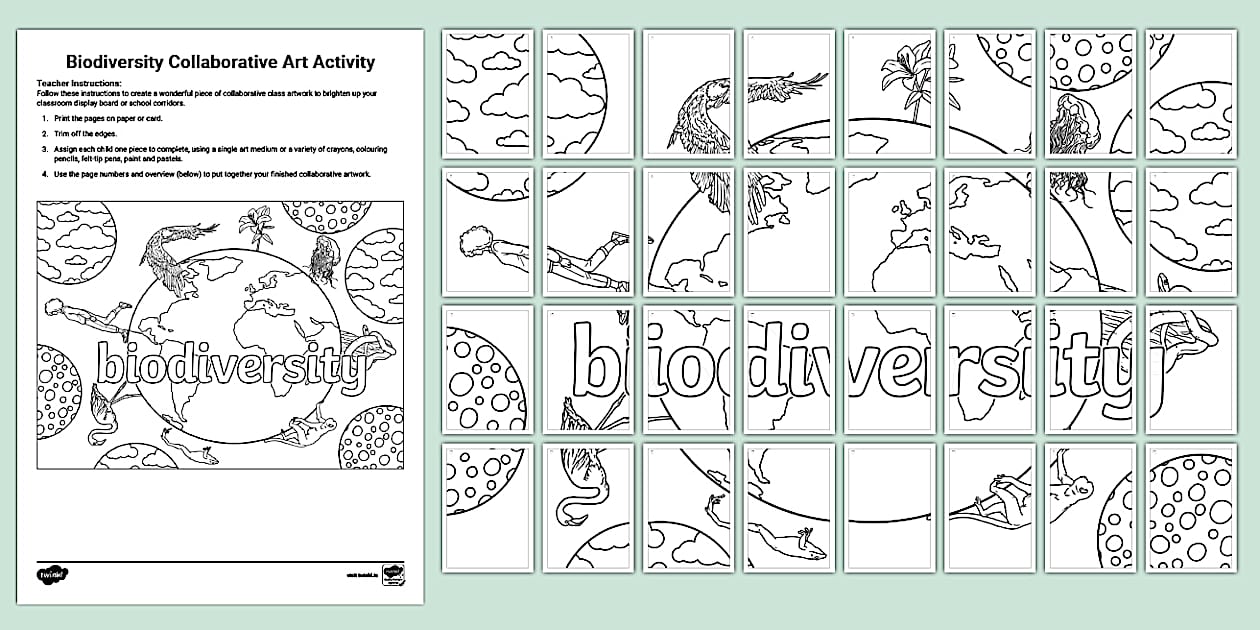 Biodiversity Collaborative Art Activity