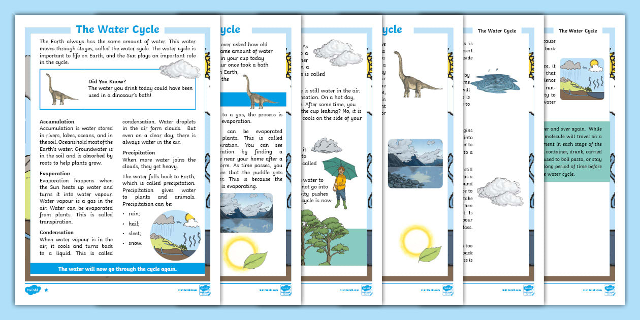 Lower Ability The Water Cycle Differentiated Reading Comprehension Activity