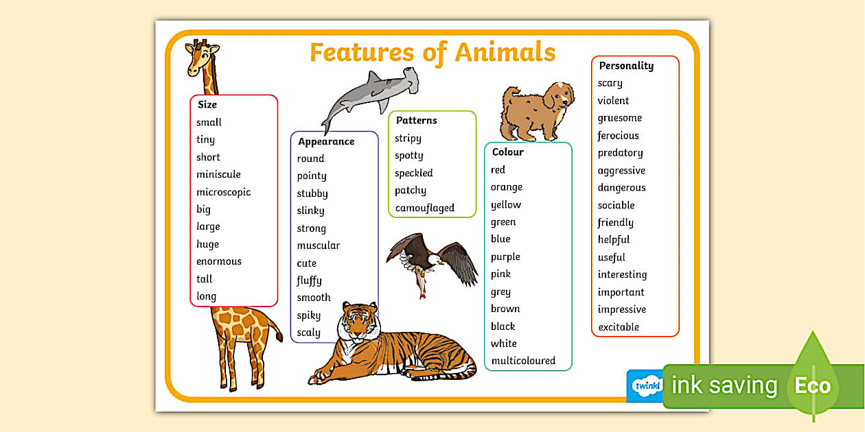 Features of Animals Word Mat - Twinkl - Literacy Resources